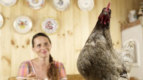 Top 10 exam rituals from stressed students across Asia - BBC News