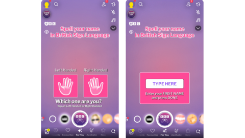 Try our British Sign Language filter - BBC