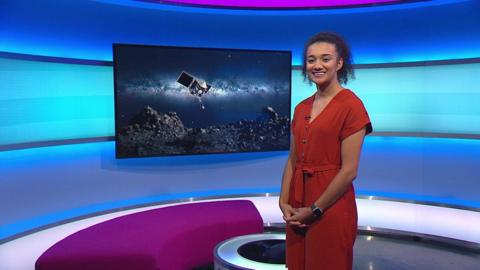 Pictures: Dog photographer of the year - BBC Newsround