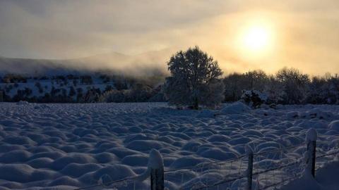 Your pictures of Scotland: 15 - 22 November - BBC News