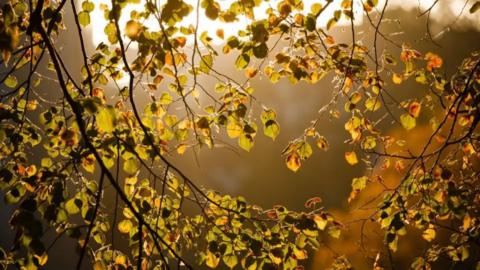 Darren Bett - BBC Weather