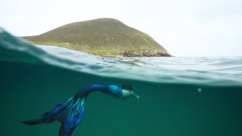 BBC - Scotland - Home