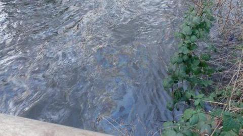 River Wandle: Diesel spill clean-up under way in chalk stream - BBC News