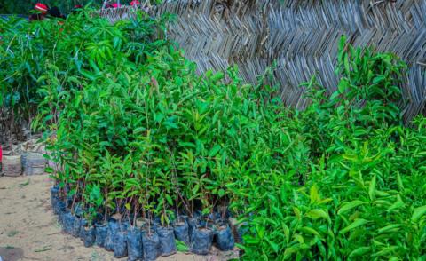 Labaran abubuwan da ke faruwa a Najeriya da sauran sassan duniya, 05/08 ...