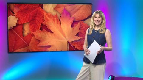 UK weather: What is a jet stream? How does it work and when will it ...