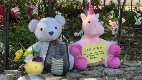 Girl, 7, dies after tree falls in Southend's Chalkwell Park - BBC News