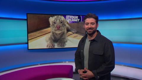 London Marathon 2023: Send your good luck messages - BBC Newsround