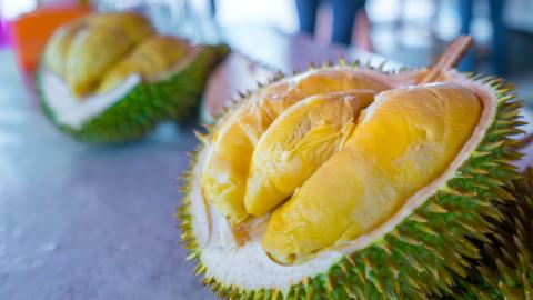 Durian: World's stinkiest fruit causes a stir in Lancashire town - BBC ...