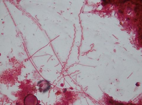 Interactive boat at heart of River Don art exhibition - BBC News