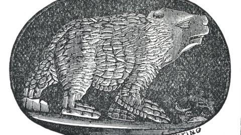 Lost history of brown bears in Britain revealed - BBC News