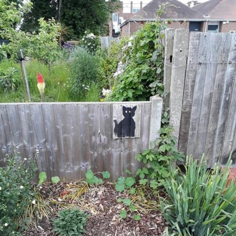 'Catsy': Artist wins over Wokingham with kitty creations - BBC News