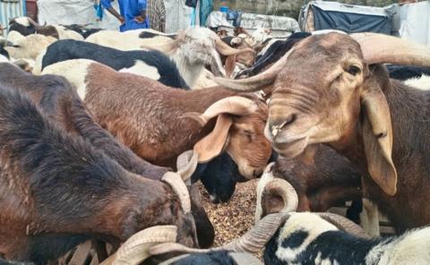 Abubuwan da ke faruwa a Najeriya da sassan duniya, 12/06/2024 - BBC ...