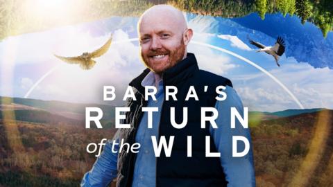BBC - Northern Ireland - Home