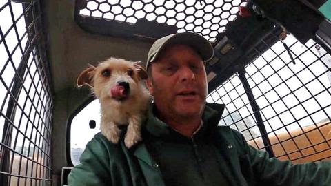 YouTuber Farmer P makes more money online than from herd - BBC News