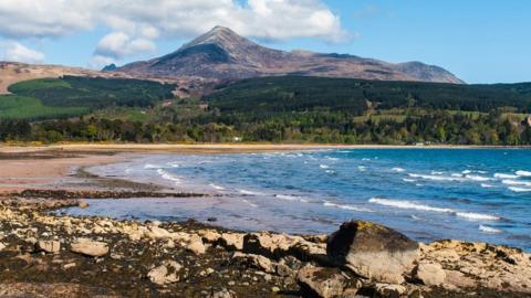 Almost half a million infected trees on Arran to be felled - BBC News