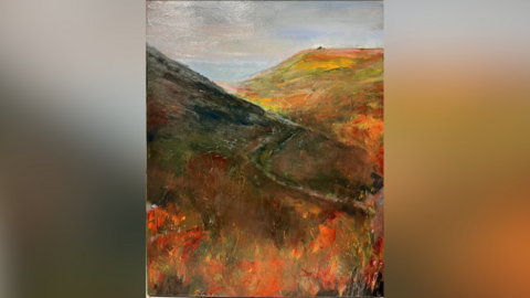 South West Coast Path anniversary paintings go on show - BBC News