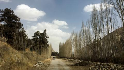 Pakistan's Ziarat: An ancient juniper forest and its living fossils ...