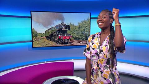 Dinosaur's feathers iridescent and colourful 'for show' - BBC Newsround