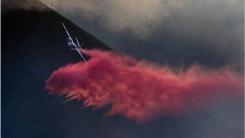 Global warming and land use change to drive more extreme wildfires ...