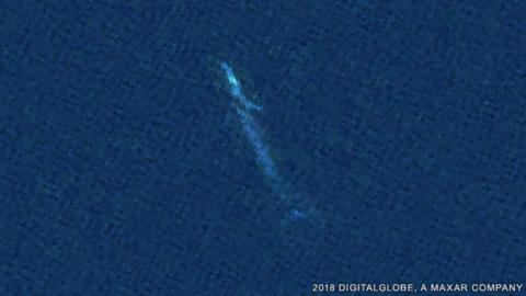 Scientists count whales from space - BBC News