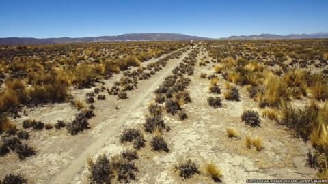 Inca Road: The ancient highway that created an empire - BBC News