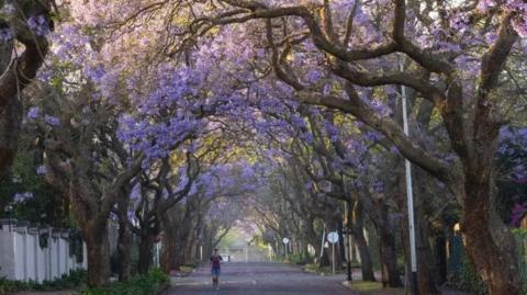 Abubuwan da ke faruwa a Najeriya da sauran sassan duniya. 31/10/2024 ...