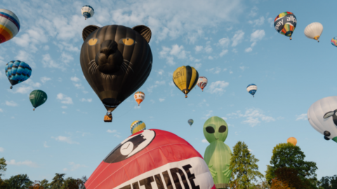 Longleat Sky Safari: In pictures - BBC News