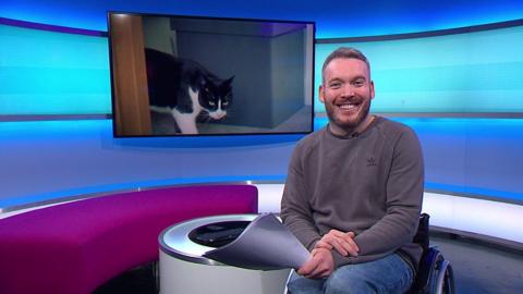 Pictures: 2012 Pet slimming winners - BBC Newsround