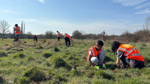 Volunteers needed to create new forest on Perivale golf course - BBC News