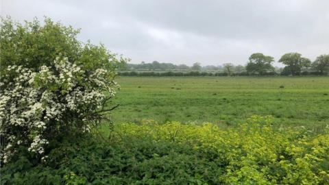 Rewilding: How changes to farming can help wildlife and the environment ...