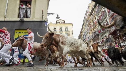 Bull running 2023: What is tradition during the festival of San Fermín ...