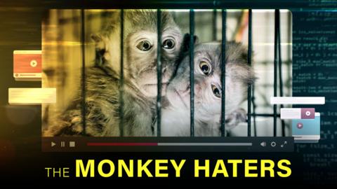 Wolverhampton Wanderers t﻿ransfer news: Collins, Neves - BBC Sport