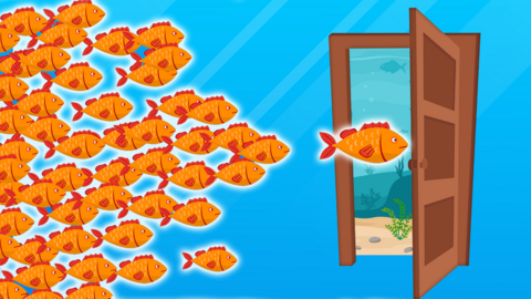 Have you heard of the fish doorbell? - BBC Newsround