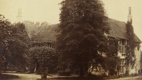 Horsham Victorian photos give unique snapshot of life - BBC News