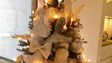 Everton manager changes 'red' Christmas tree after fans' complaints ...