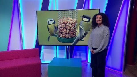 How to see the planets align - BBC Newsround