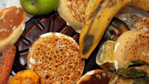 Food waste: UK Levels are rising, according to new survey - BBC Newsround