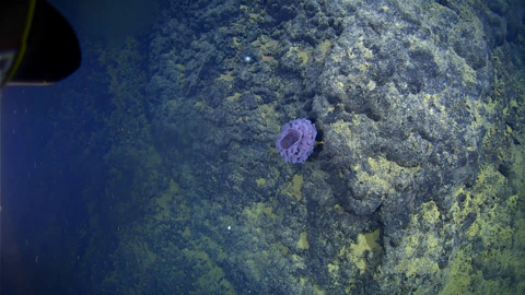 Woman breaks world record in deepest dive by all-female-crew - BBC News