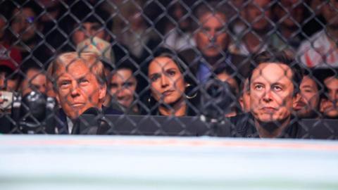 Trump, Elon Musk and new cabinet nominees celebrate at UFC - BBC News