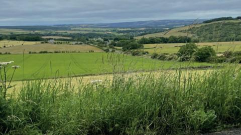 A swathe of countryside, with rolling green fields and hills in the distance; in the foreground of the photo grass and flowers are pictured.