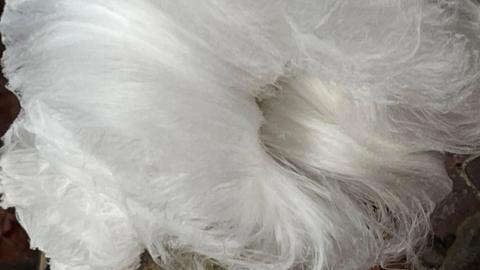 Check out the ice that looks like hair - BBC Newsround