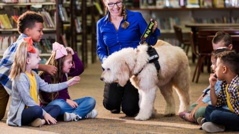 School pets: Tell us if you have a classroom dog, bird or hamster - BBC ...