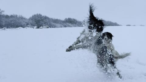 Weather watchers snow pictures from across the UK - BBC News