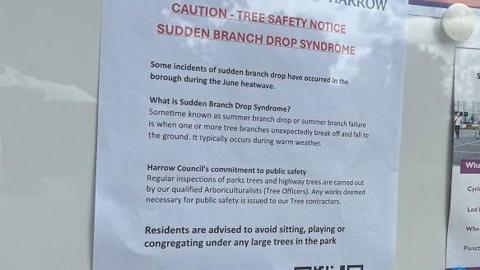 Sudden Branch Drop Syndrome warnings issued in north-west London - BBC News