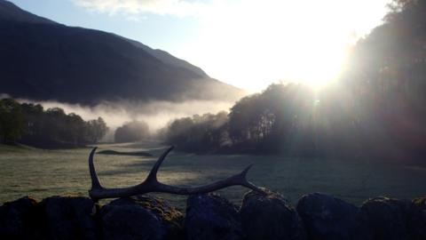 Your pictures of Scotland: 25 November - 2 December - BBC News