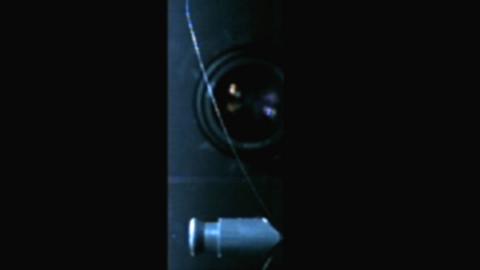 Limpet teeth set new strength record - BBC News