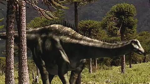 Structural secret of T. rex's bone-crushing teeth - BBC News