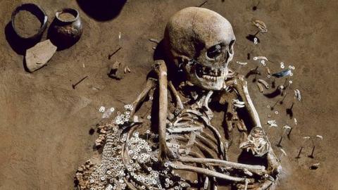 Ancient DNA sheds light on Irish origins - BBC News