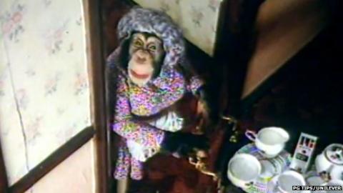 PG Tips chimps: The last of the tea-advertising apes - BBC News