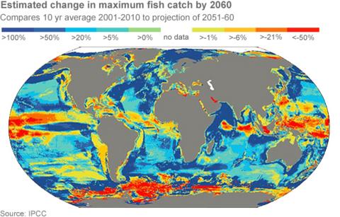 Climate impacts report: Key findings - BBC News